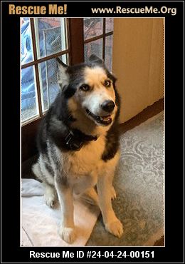 - New York Dog Rescue - ADOPTIONS - Rescue Me!