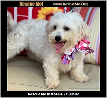 - Georgia Dog Rescue - ADOPTIONS - Rescue Me!