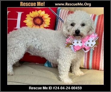 - Georgia Dog Rescue - ADOPTIONS - Rescue Me!