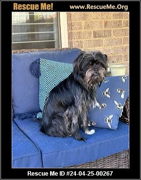 - Alabama Dog Rescue - ADOPTIONS - Rescue Me!