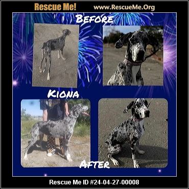 - California Dog Rescue - ADOPTIONS - Rescue Me!
