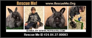 - Illinois Rabbit Rescue - ADOPTIONS - Rescue Me!