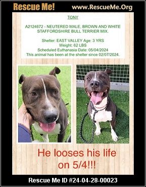 - California Dog Rescue - ADOPTIONS - Rescue Me!