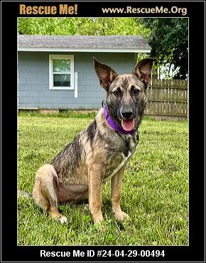 - Mississippi Dog Rescue - ADOPTIONS - Rescue Me!