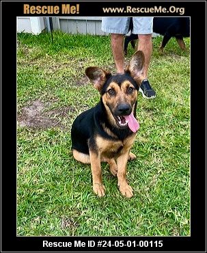 - Texas German Shepherd Rescue - ADOPTIONS - Rescue Me!