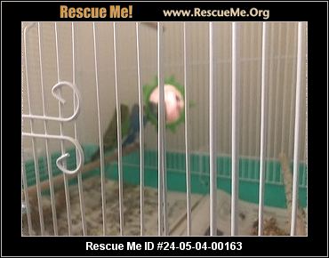 - Pennsylvania Pet Bird Rescue - ADOPTIONS - Rescue Me!