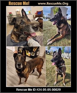 - Rhode Island Dog Rescue - ADOPTIONS - Rescue Me!