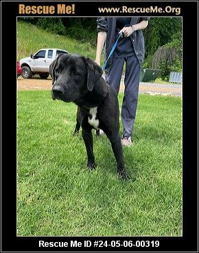 - Alabama Dog Rescue - ADOPTIONS - Rescue Me!