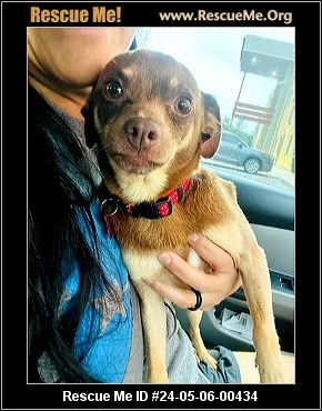 - Massachusetts Mutt Rescue - ADOPTIONS - Rescue Me!