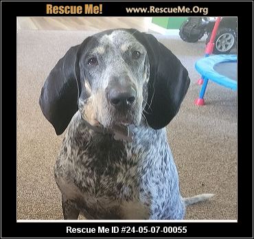 - West Virginia Dog Rescue - ADOPTIONS - Rescue Me!