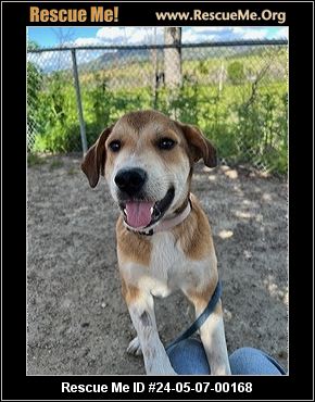 - Oregon Dog Rescue - ADOPTIONS - Rescue Me!