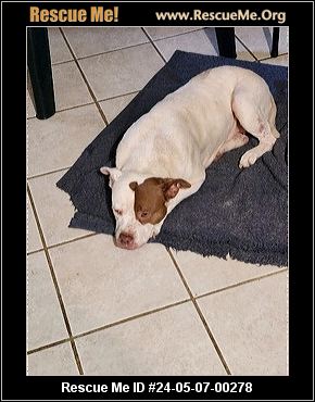 - Mississippi Dog Rescue - ADOPTIONS - Rescue Me!