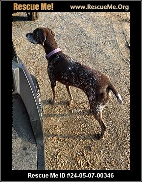 - Kentucky Dog Rescue - ADOPTIONS - Rescue Me!