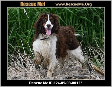 - Nebraska Dog Rescue - ADOPTIONS - Rescue Me!