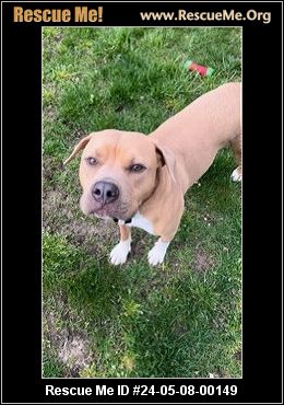 - New Jersey Dog Rescue - ADOPTIONS - Rescue Me!