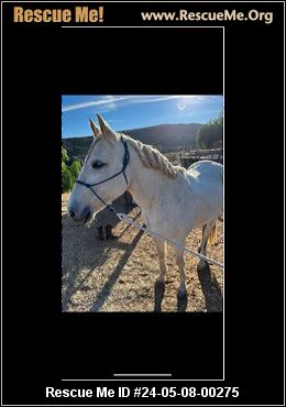 - California Horse Rescue - ADOPTIONS - Rescue Me!