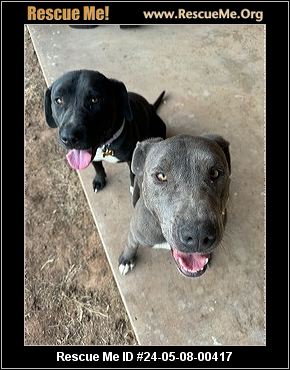 - Oklahoma Dog Rescue - ADOPTIONS - Rescue Me!