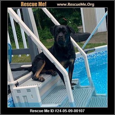 - Kentucky Dog Rescue - ADOPTIONS - Rescue Me!