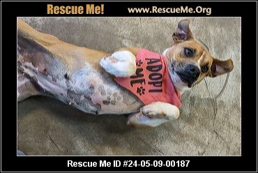 - South Carolina Dog Rescue - ADOPTIONS - Rescue Me!