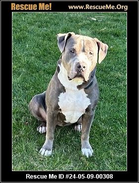 - Maryland Dog Rescue - ADOPTIONS - Rescue Me!