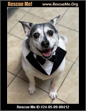 - New Jersey Dog Rescue - ADOPTIONS - Rescue Me!