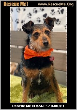 - Georgia Dog Rescue - ADOPTIONS - Rescue Me!