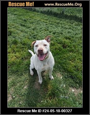 - Oregon Dog Rescue - ADOPTIONS - Rescue Me!