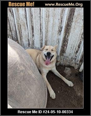 - Oregon Dog Rescue - ADOPTIONS - Rescue Me!