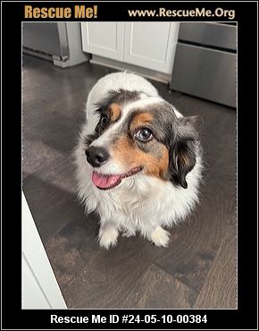 - Nebraska Dog Rescue - ADOPTIONS - Rescue Me!