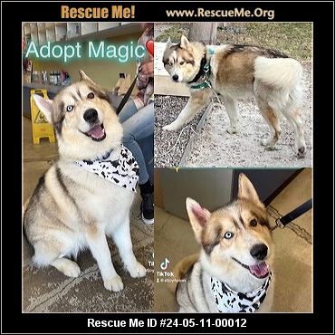- Oregon Dog Rescue - ADOPTIONS - Rescue Me!