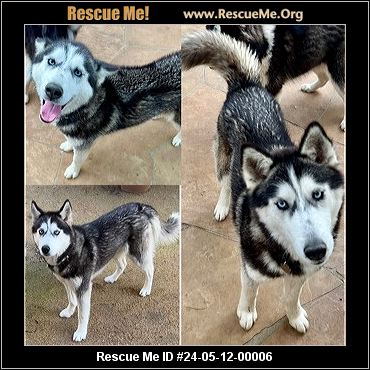 - Oregon Dog Rescue - ADOPTIONS - Rescue Me!