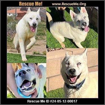 - Oregon Dog Rescue - ADOPTIONS - Rescue Me!