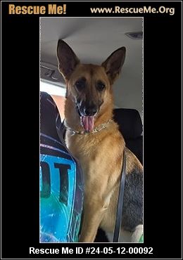 - Virginia German Shepherd Rescue - ADOPTIONS - Rescue Me!