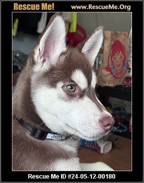 - Oregon Dog Rescue - ADOPTIONS - Rescue Me!