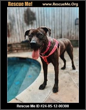 - Texas Mutt Rescue - ADOPTIONS - Rescue Me!