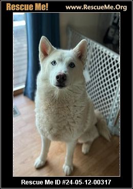 - Colorado Dog Rescue - ADOPTIONS - Rescue Me!