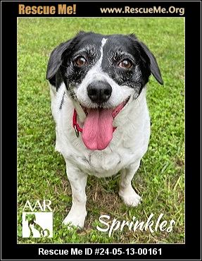 - Texas Mutt Rescue - ADOPTIONS - Rescue Me!