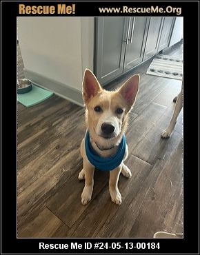 - New York Dog Rescue - ADOPTIONS - Rescue Me!