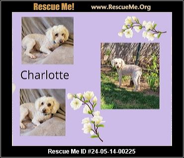 - Washington Dog Rescue - ADOPTIONS - Rescue Me!