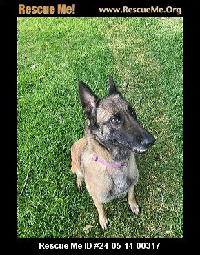 - South Carolina Dog Rescue - ADOPTIONS - Rescue Me!