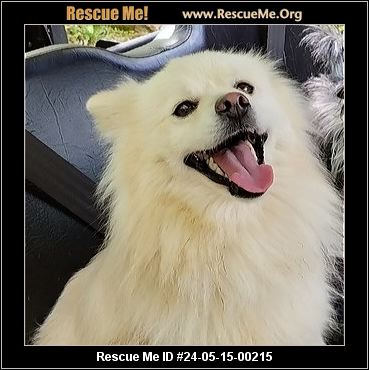 - North Carolina Dog Rescue - ADOPTIONS - Rescue Me!
