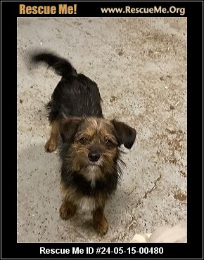 - Oregon Dog Rescue - ADOPTIONS - Rescue Me!