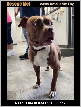 - Illinois Dog Rescue - ADOPTIONS - Rescue Me!