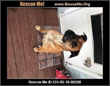 - Missouri Dog Rescue - ADOPTIONS - Rescue Me!