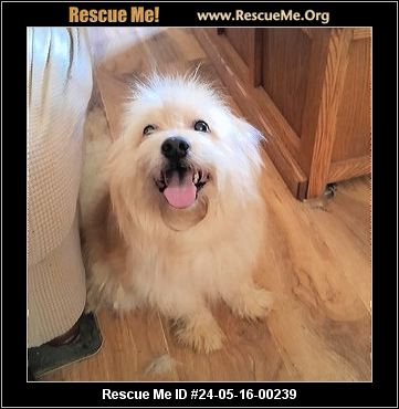 - New Jersey Dog Rescue - ADOPTIONS - Rescue Me!