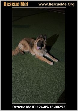 - Nebraska Dog Rescue - ADOPTIONS - Rescue Me!