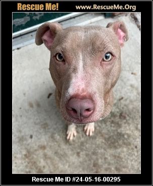 - New Jersey Dog Rescue - ADOPTIONS - Rescue Me!