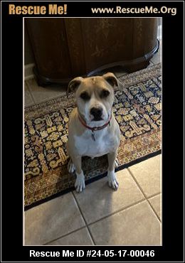 - Tennessee Dog Rescue - ADOPTIONS - Rescue Me!