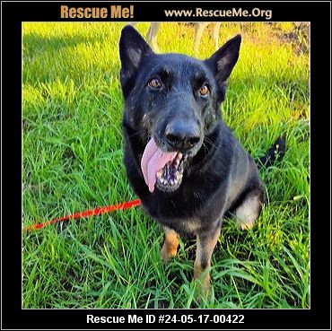 - Pennsylvania German Shepherd Rescue - ADOPTIONS - Rescue Me!
