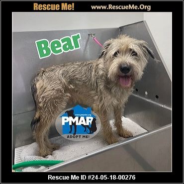 - New York Dog Rescue - ADOPTIONS - Rescue Me!